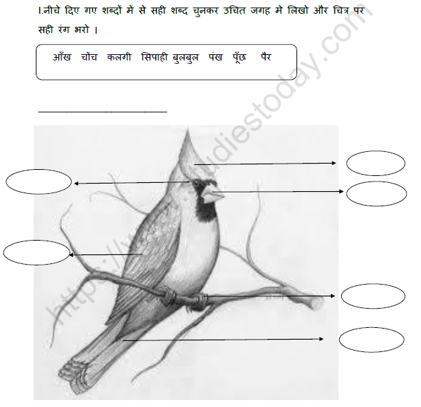 CBSE Class 2 Hindi बुलबुल Worksheet CBSE Class 2 Hindi बुलबुल Worksheet